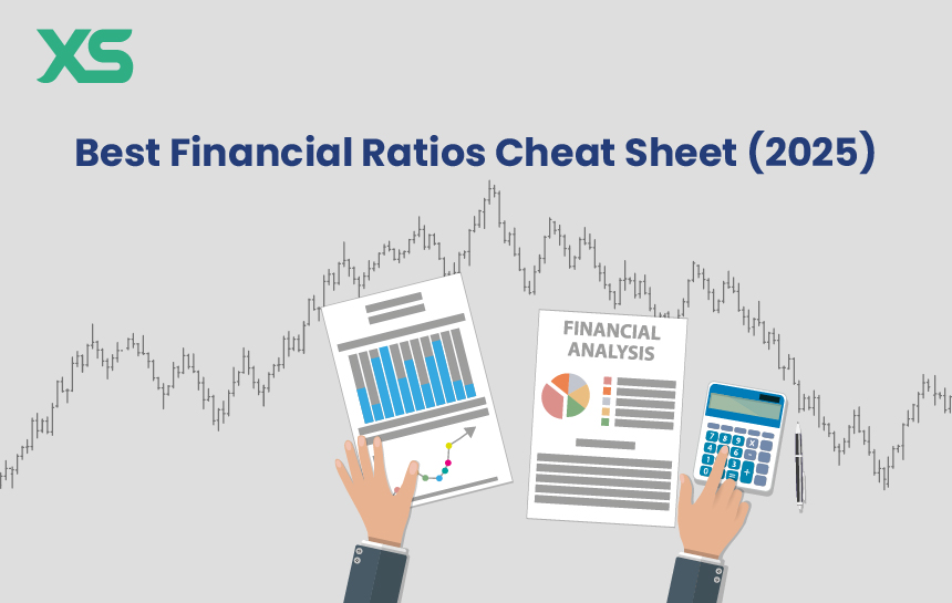 Best Financial Ratios Cheat Sheet (2025) - XS