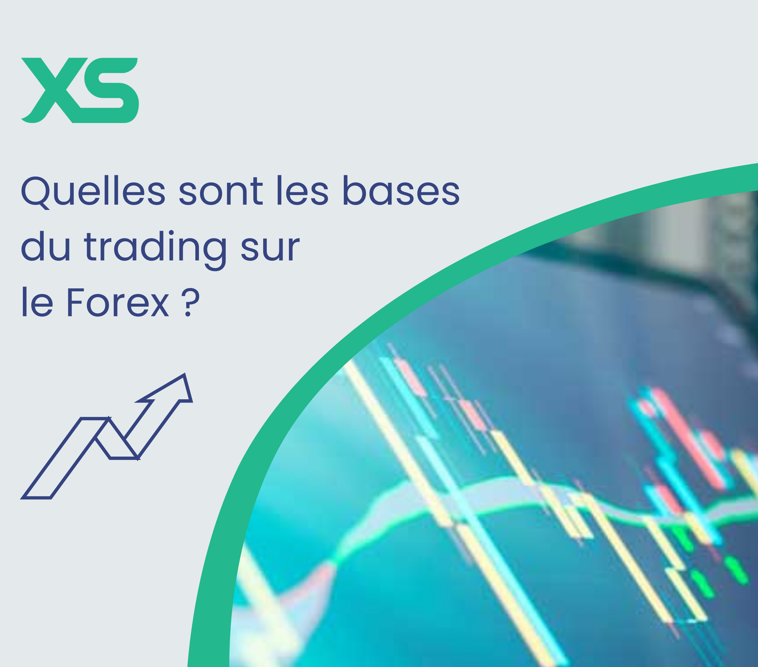 Quelles sont les bases du trading sur le Forex