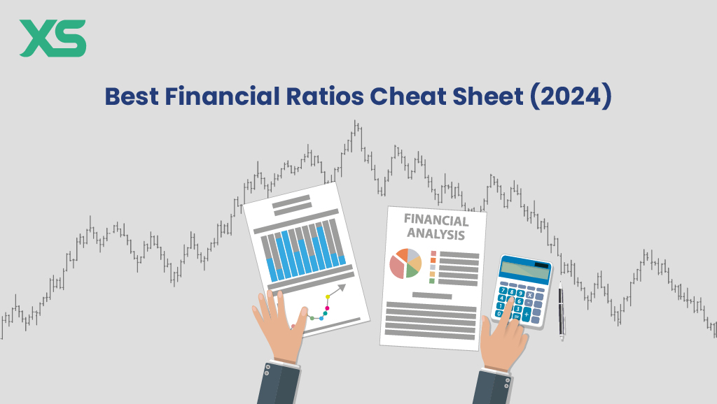 Best Financial Ratios Cheat Sheet (2024) - XS