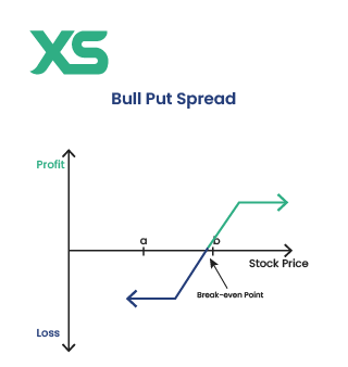 Option Strategies Cheat Sheet for Traders (2024) -XS